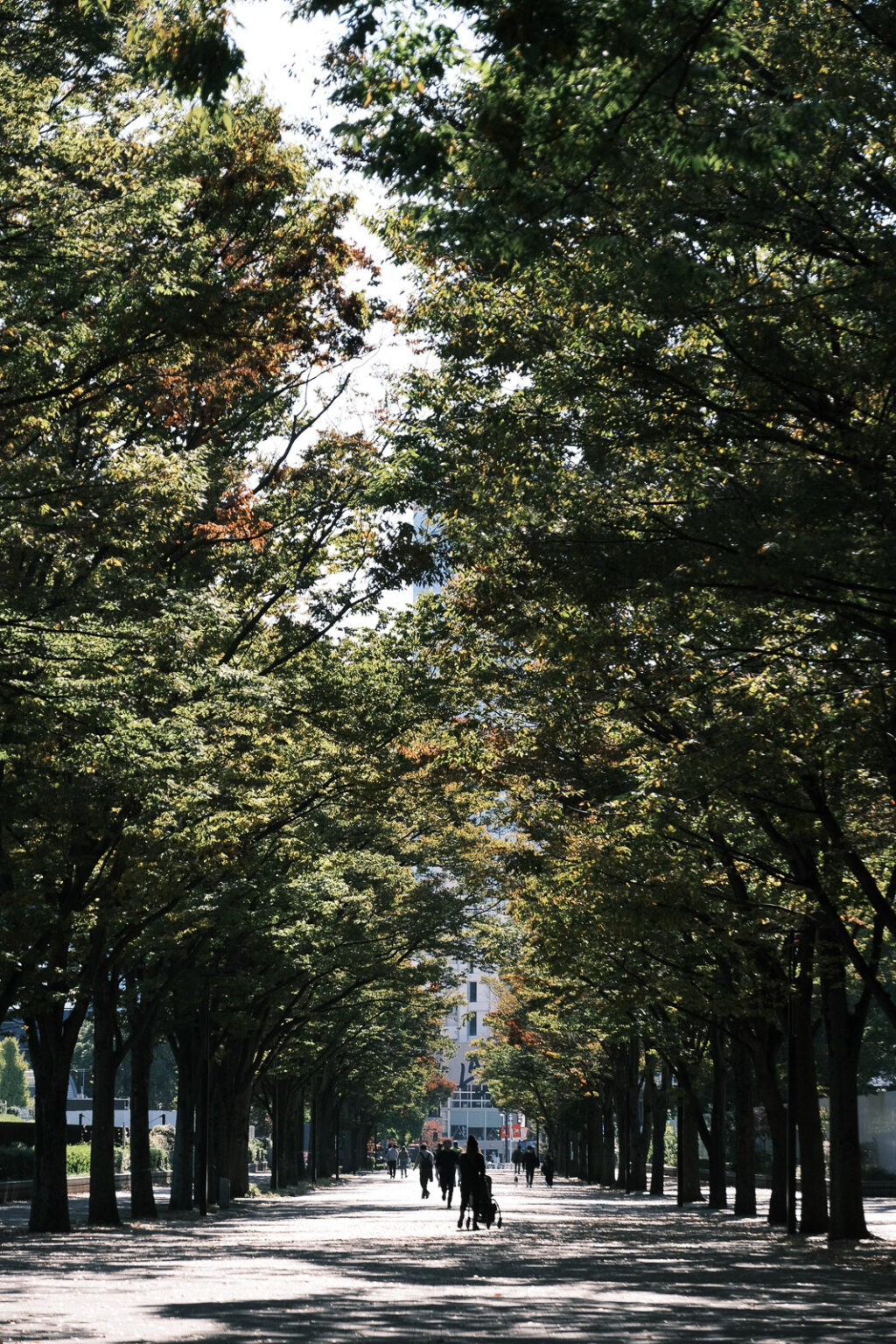 【実機レビュー】XF18-135mm F3.5-5.6 R LM OIS WR【FUJIFILMの便利ズームレンズ】 | PhotoDou